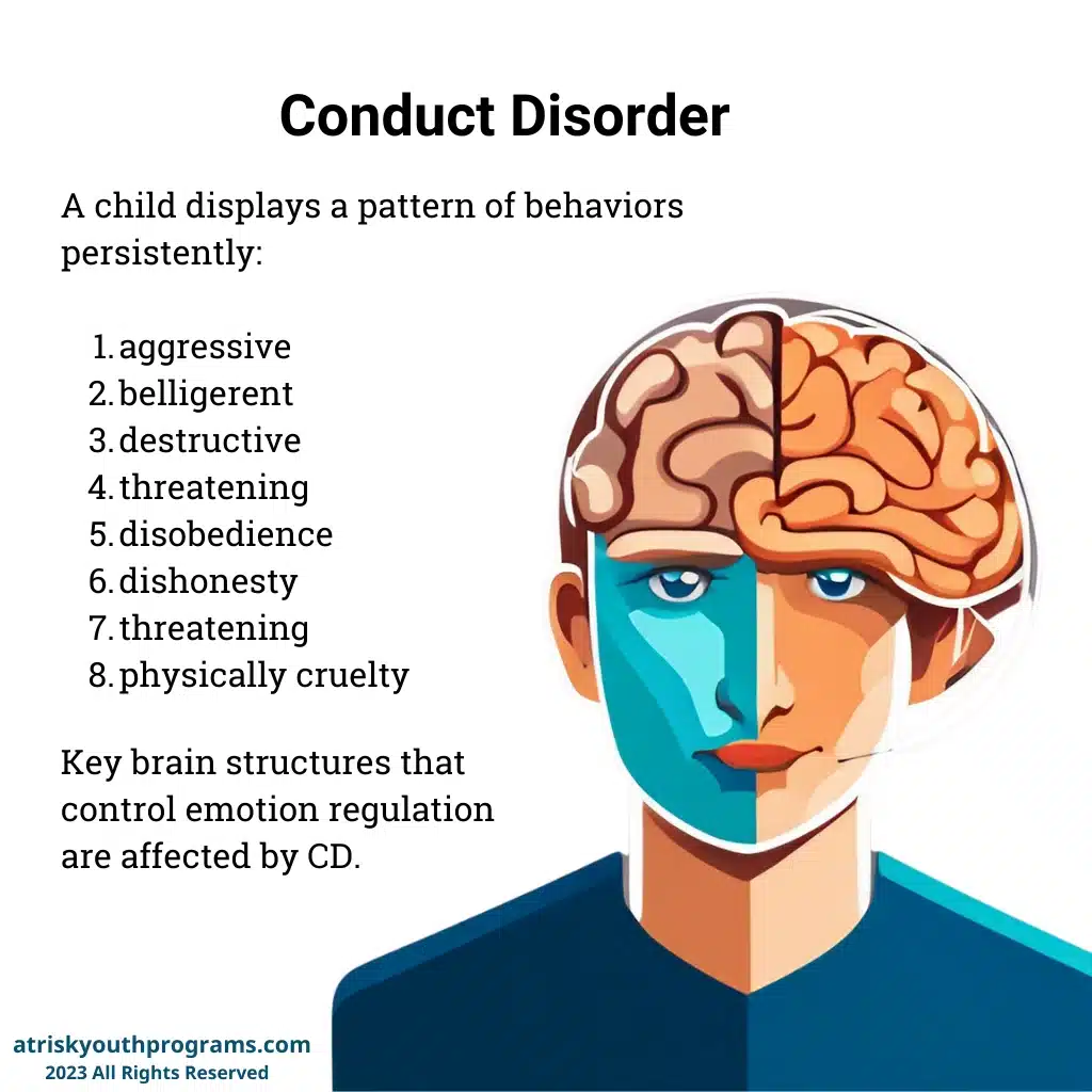 Why Teens with ADHD and Conduct Disorder Present At-Risk Behaviors - At ...